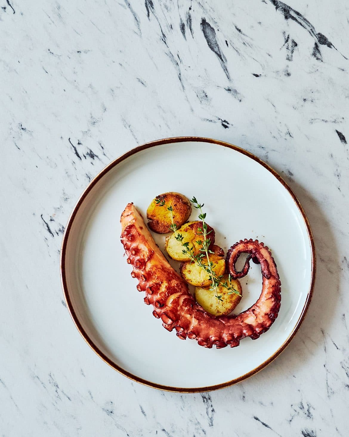 How To Cook Octopus Easy Recipe [Video] - Delice Recipes