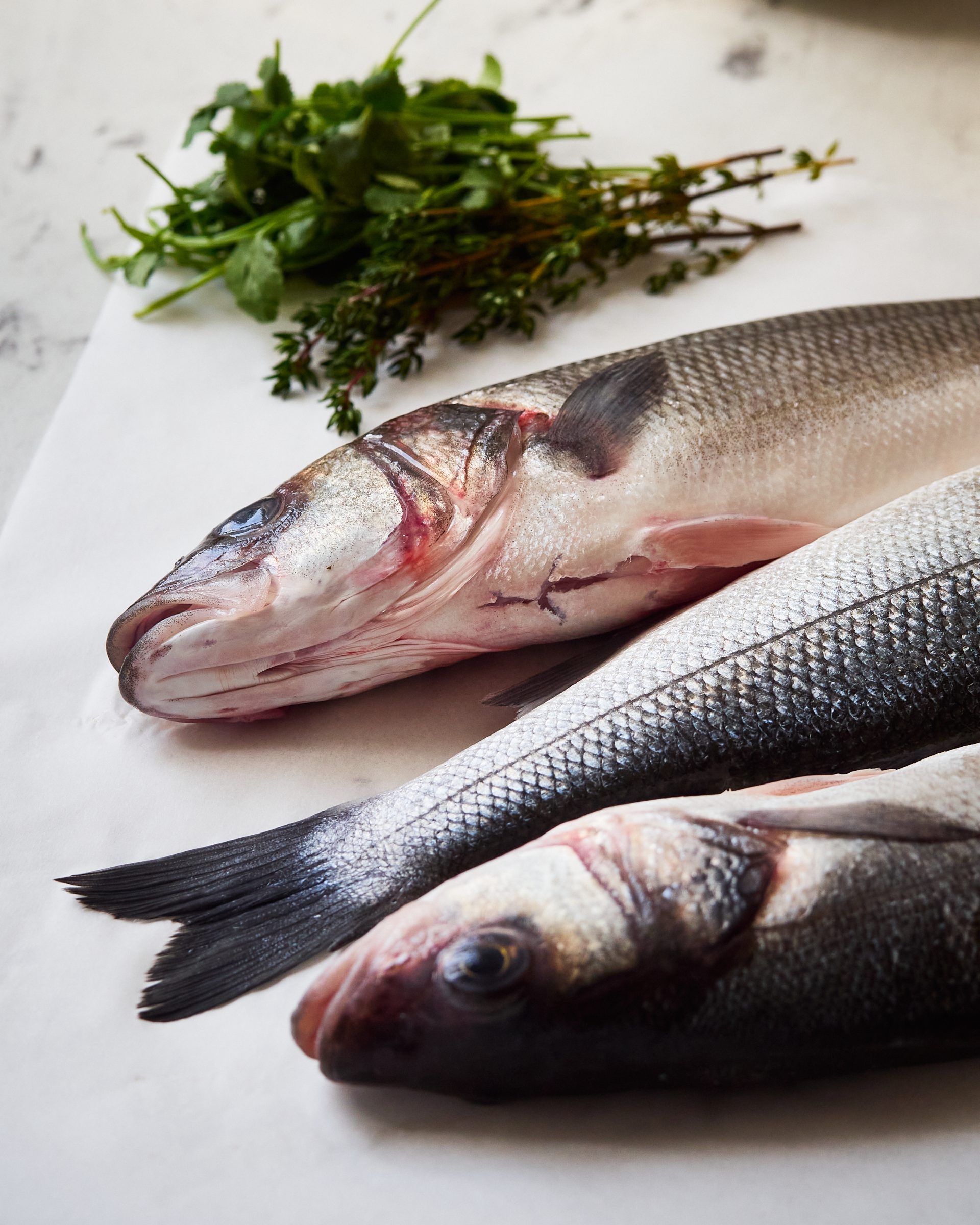 Greek-style Poached Sea Bass Recipe [Video] - Delice Recipes