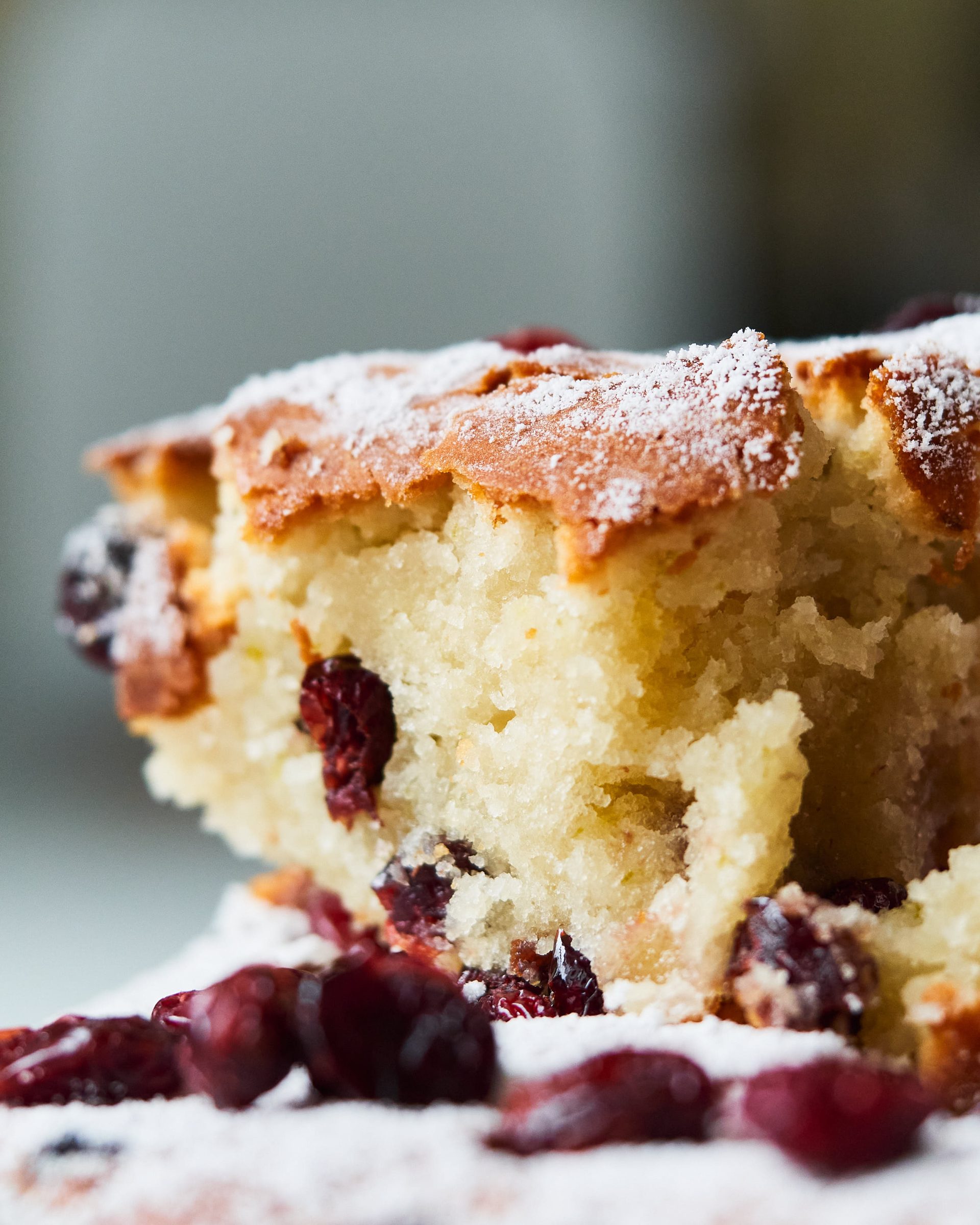 Vegan Lime Cranberry Cake [VIDEO] - Delice Recipes