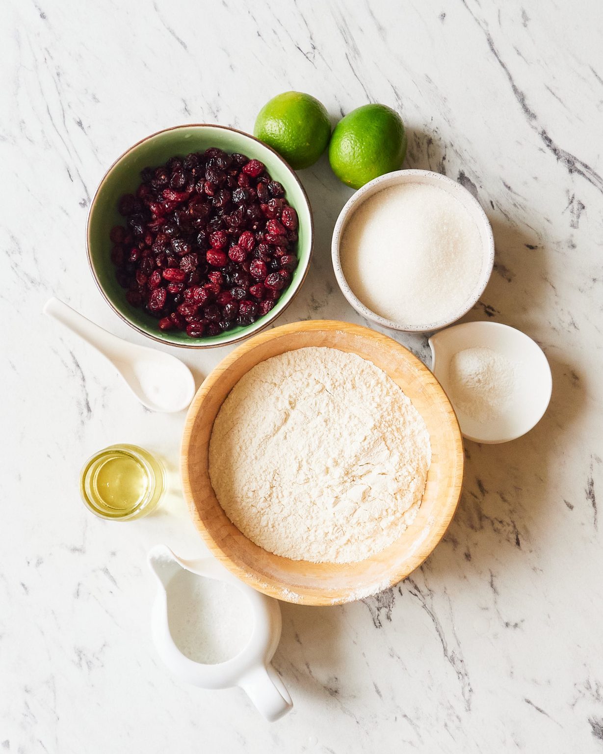 Vegan Lime Cranberry Cake [VIDEO] - Delice Recipes